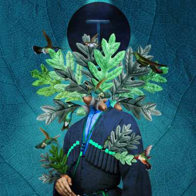 02: THE TREE VENERATION IN THE CIRCASSIAN CULTURE